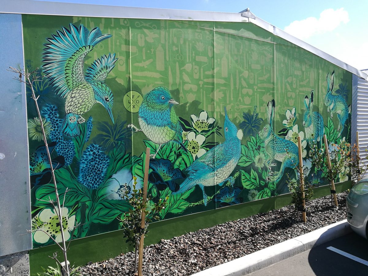 A Conversation with Flox – Watch This Space