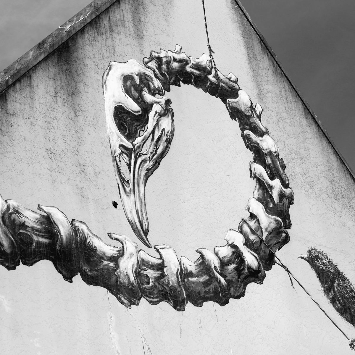 Black and White – A Photo Essay by Graeme Russell – Watch This Space