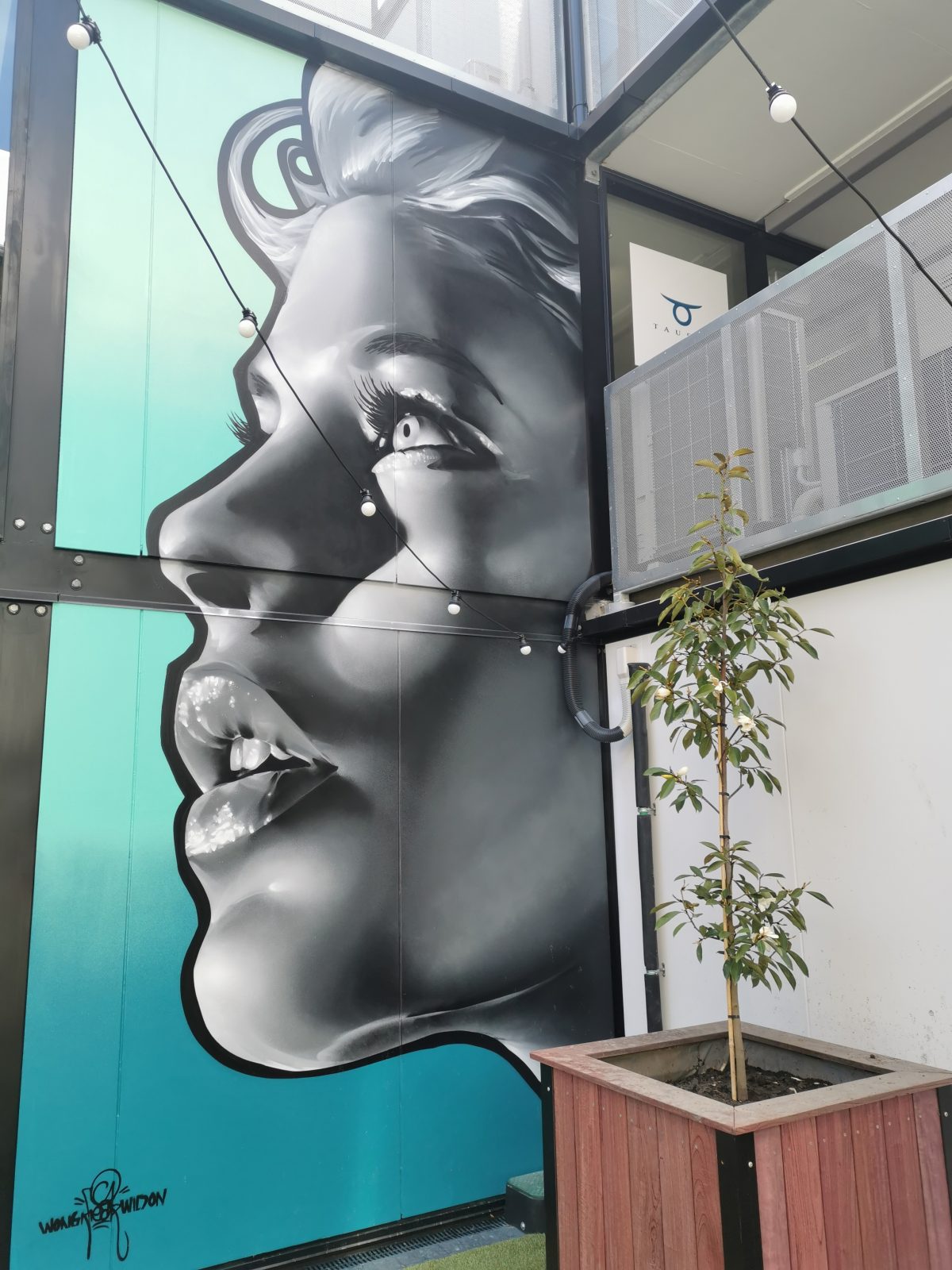 Watch This Space – Thoughtful reflections on the ever evolving street ...